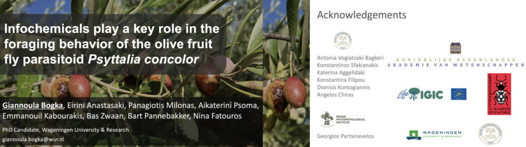 Oral presentation at the "4th International Entomophagous Insects ...